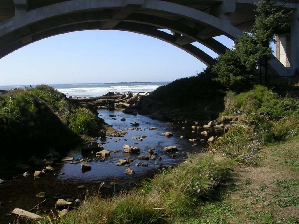 bridge – @BeverleyBateman